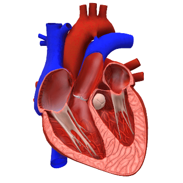 2D Image Tracking with AR Foundation (Part 4) – andreasjakl.com